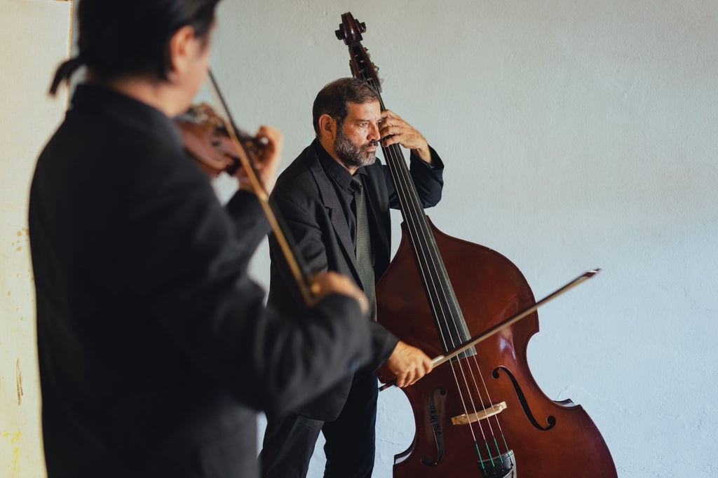 How to Book a String Quartet for Your Wedding | Wedding Advice | Bridebook